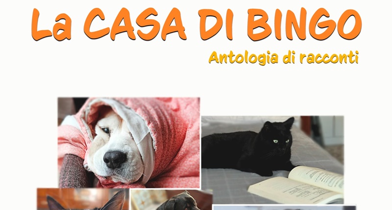 Il lametino Iovane tra gli scrittori italiani in aiuto del rifugio la ...